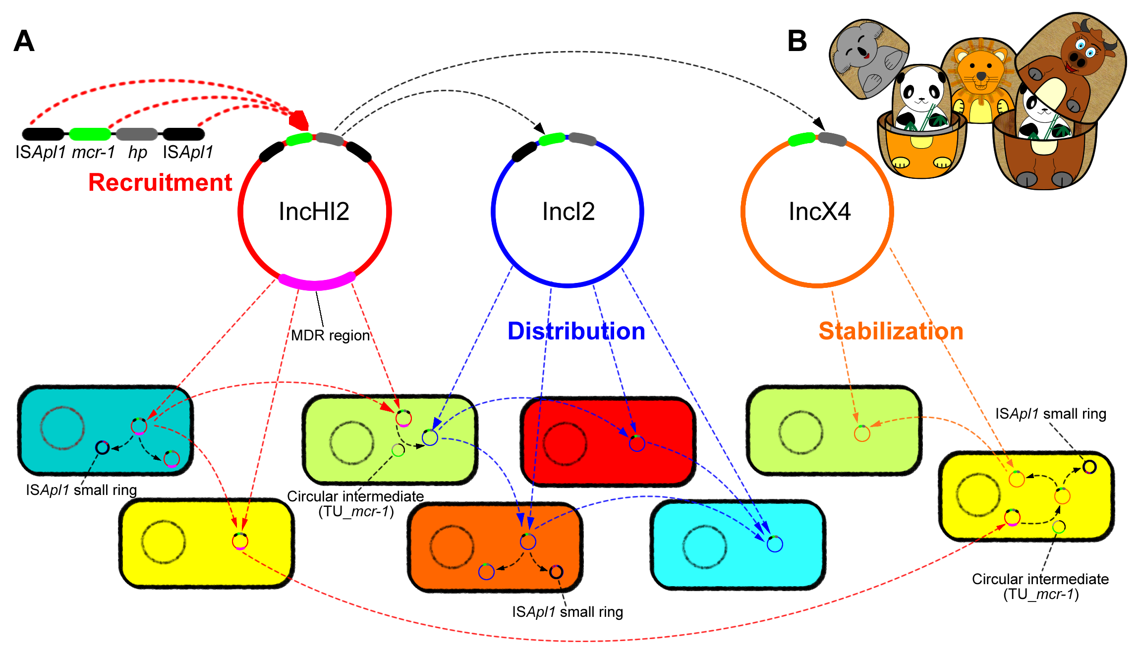 杨坤-梁斌教授研究小组
