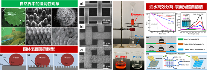 环境与能源功能材料组-梁斌教授研究小组