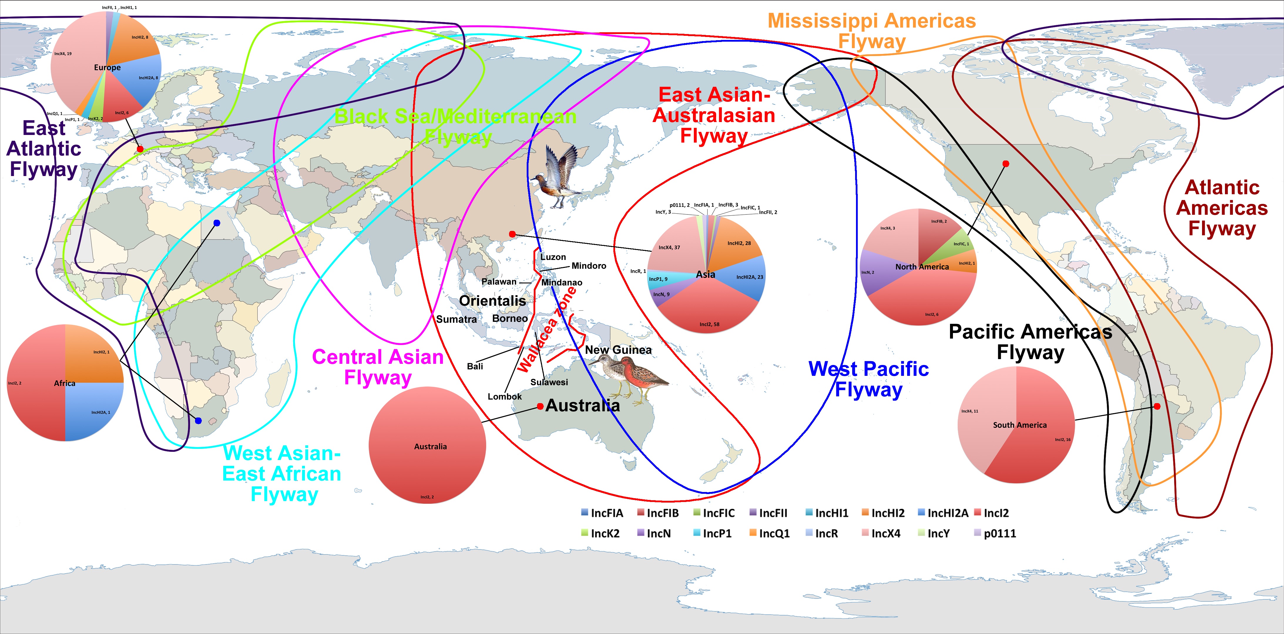 杨坤-梁斌教授研究小组